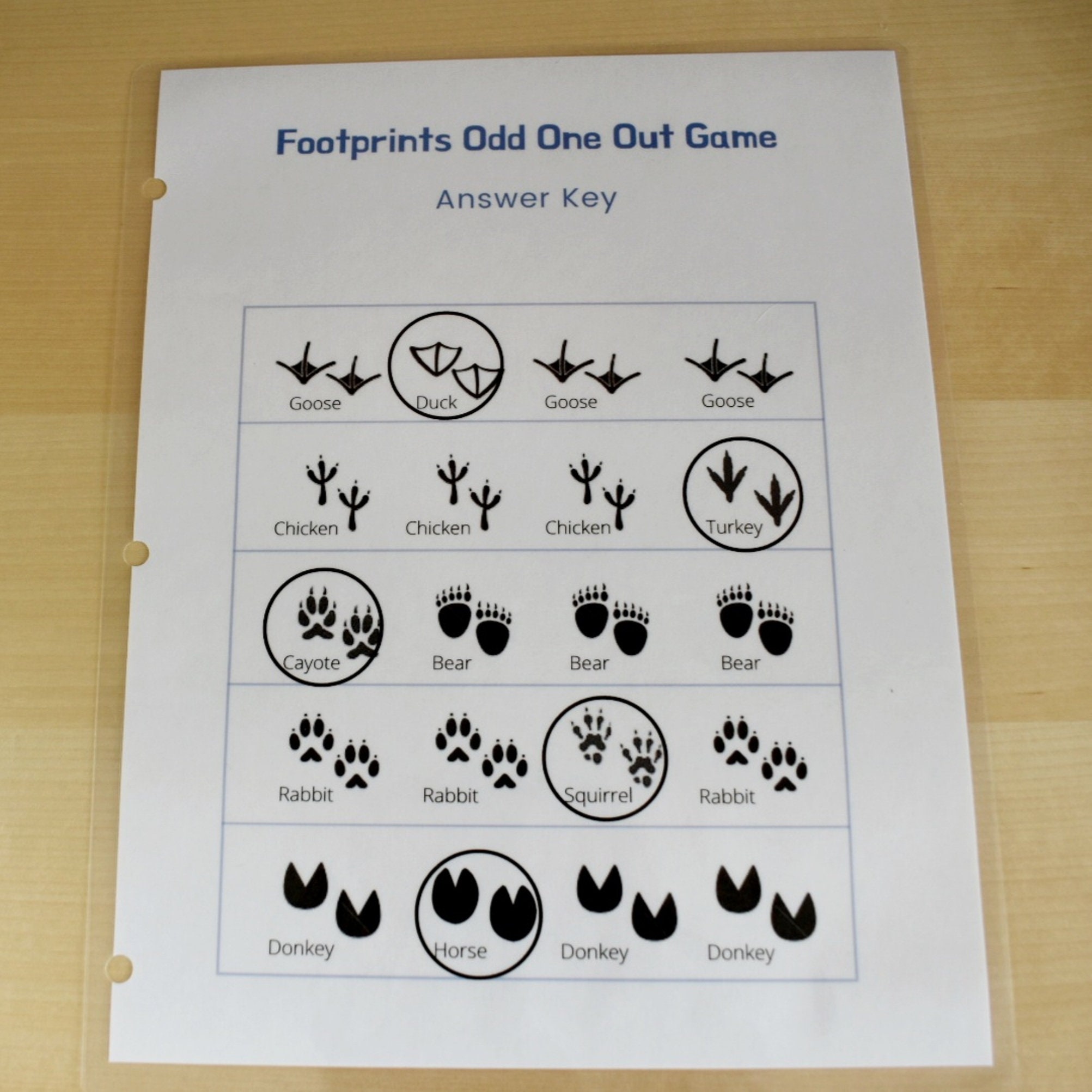 Preschool Animal Footprints Game, Printable Busy Book Page, Montessori ...