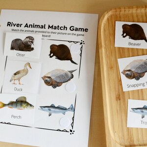 Forest Animal Matching Worksheet Activities for Preschoolers - Etsy