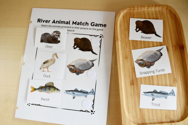 Forest Animal Matching Worksheet Activities for Preschoolers - Etsy