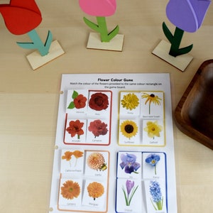 Preschool Printable Flower Colour Matching Game, Montessori Inspired ...