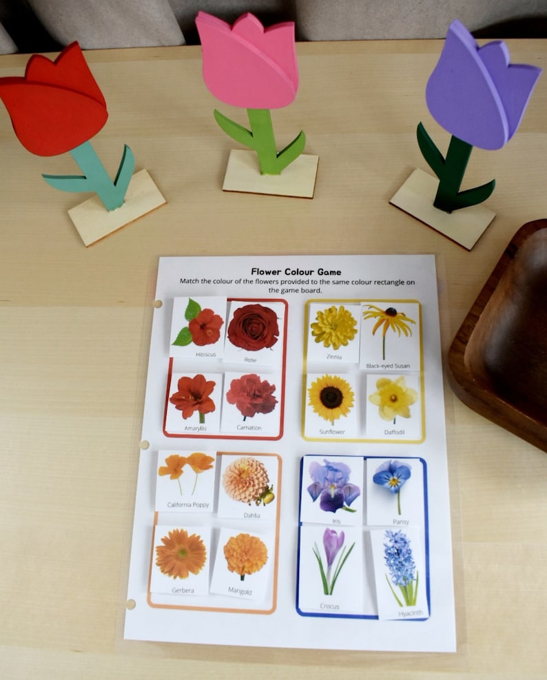 Flower Color Matching Game: Montessori Homeschool Printable (PDF) - Etsy