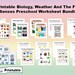 Printable Preschool Biology Weather and the Five Senses Worksheet ...