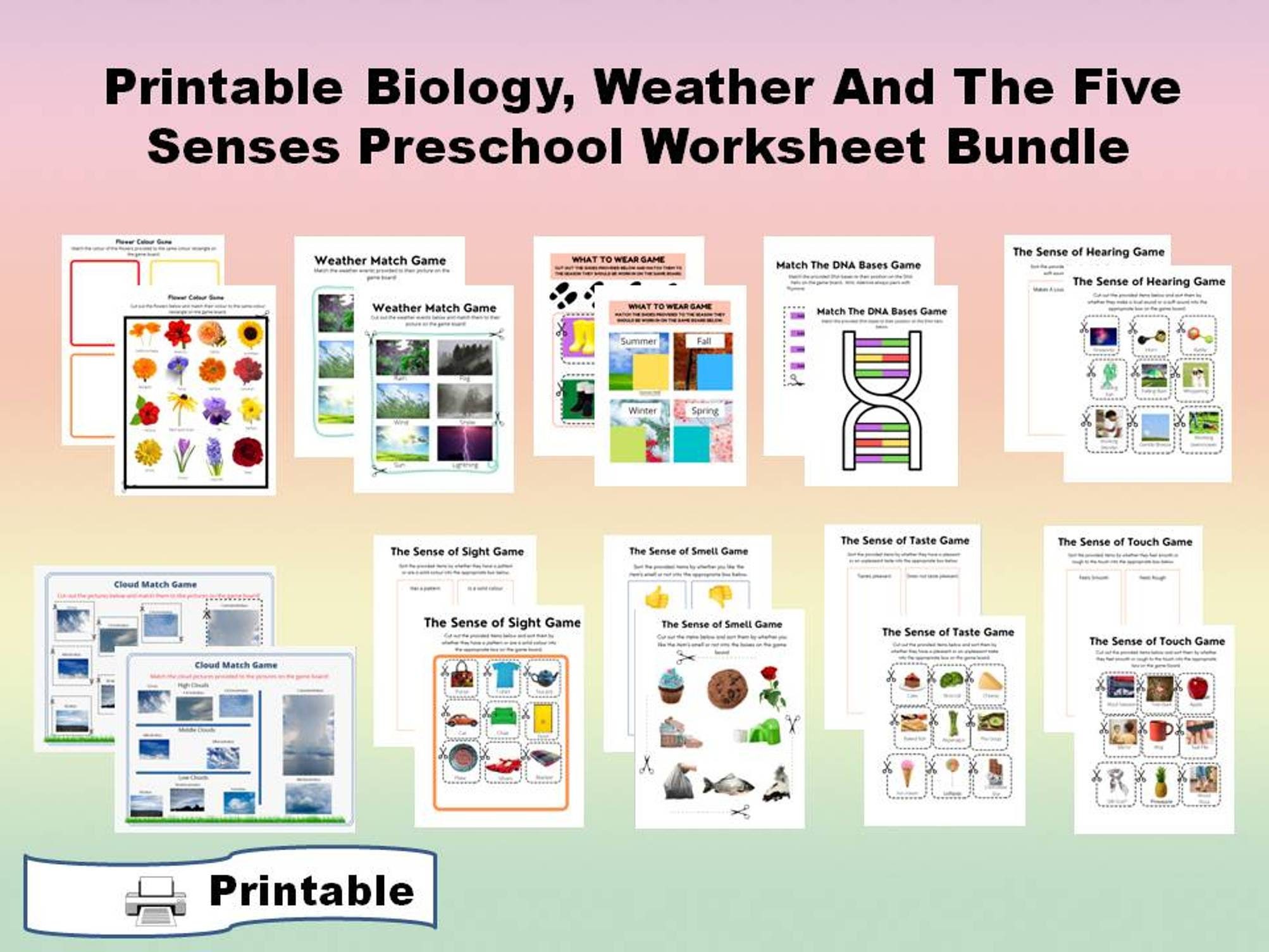 Printable Preschool Biology Weather and the Five Senses Worksheet ...