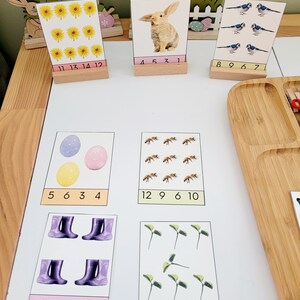 Spring Counting Clip Cards, Math Flash Cards, Numbers 1-12, Montessori ...