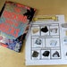 Printable Rock Match Game, Busy Book Page, Activities for Preschoolers ...