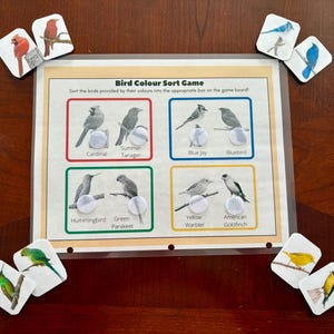 Printable Bird Color Sorting Game: Montessori Homeschool Activity (PDF ...