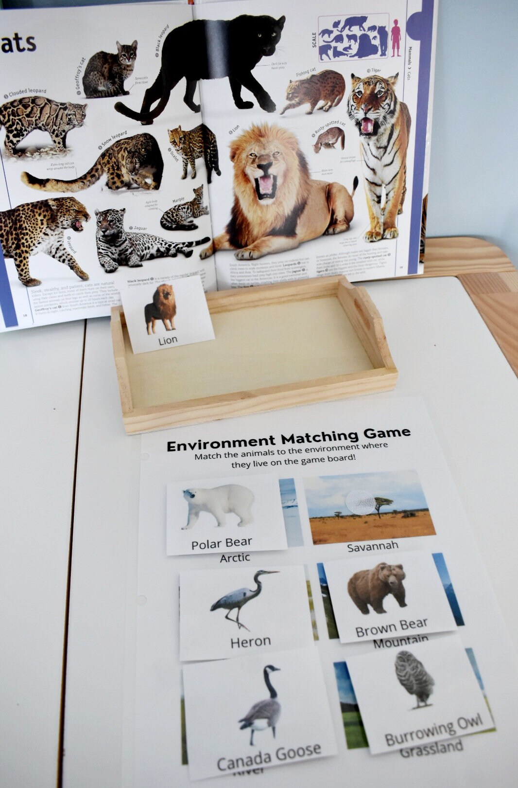 Animal to Environment Matching Game, Preschool Printable Busy Book Page ...