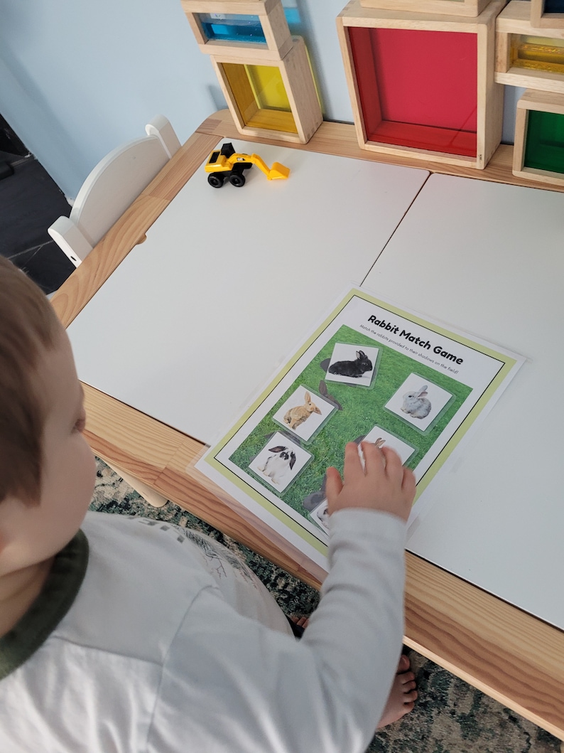 Printable Rabbit Match Game, Montessori Inspired, Nature Study, Toddler ...