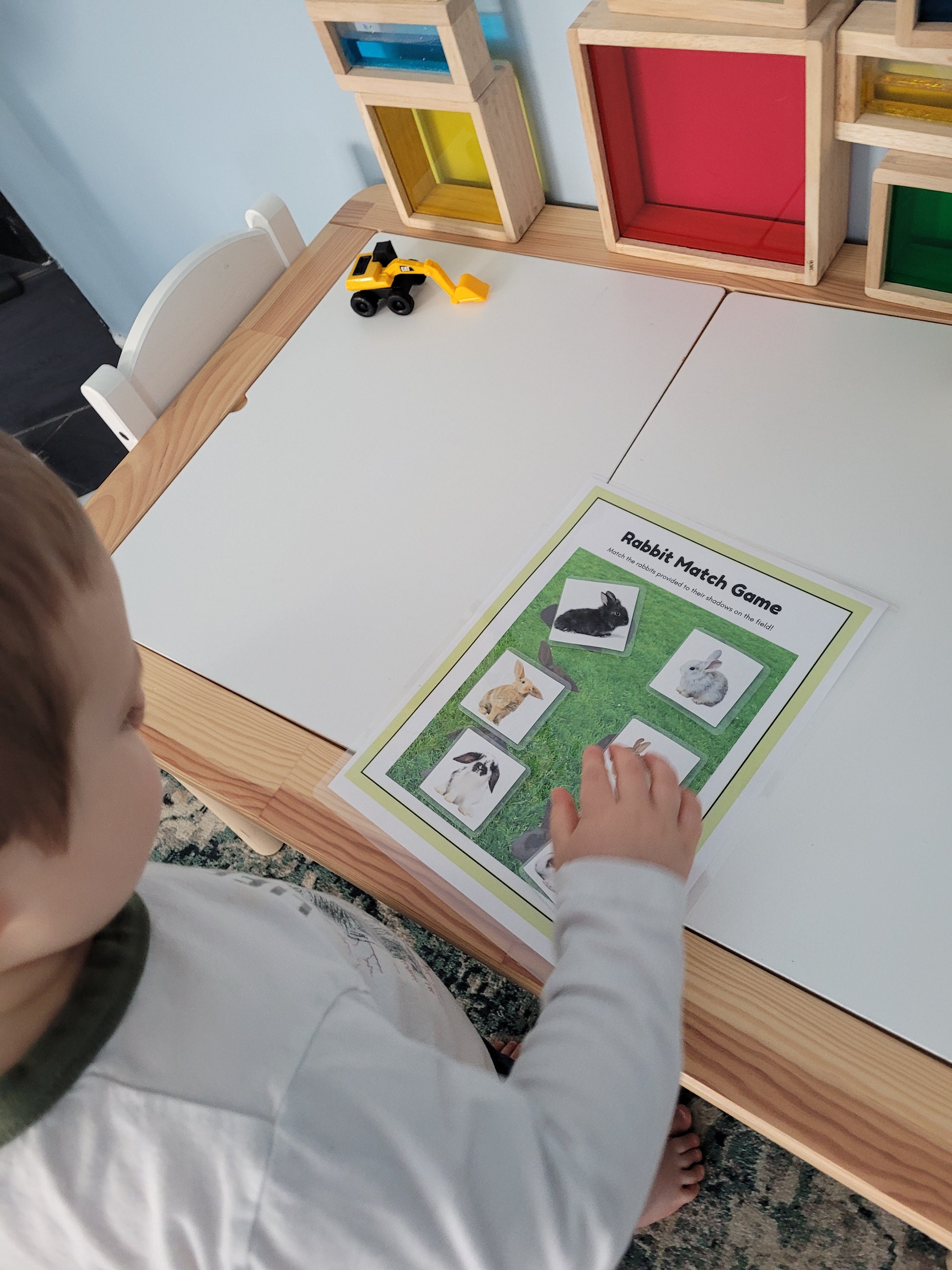 Printable Rabbit Match Game, Montessori Inspired, Nature Study, Toddler ...