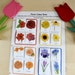 Preschool Printable Flower Colour Matching Game, Montessori Inspired ...