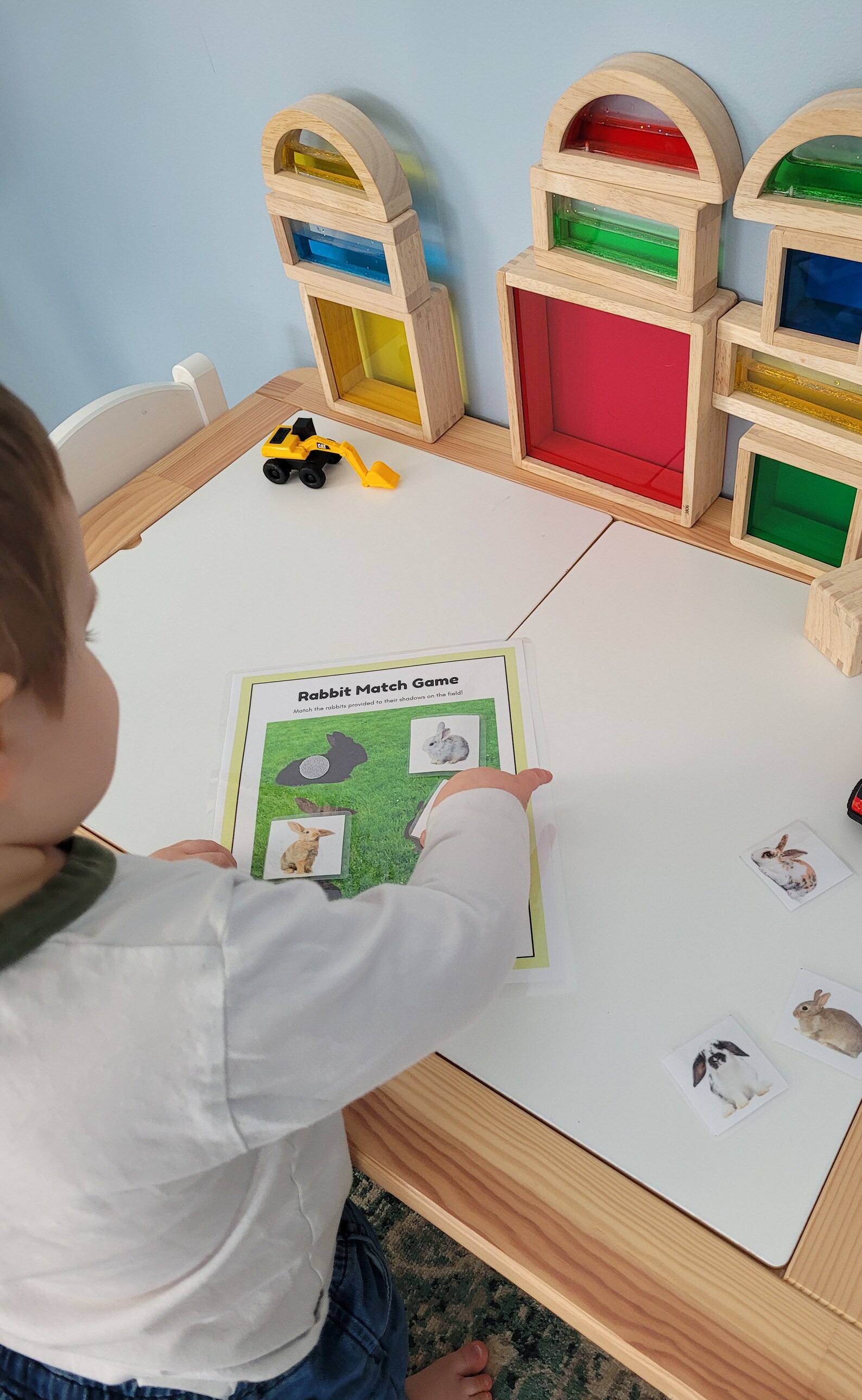 Printable Rabbit Match Game, Montessori Inspired, Nature Study, Toddler ...