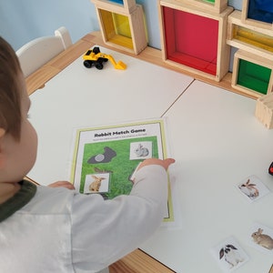 Printable Rabbit Match Game, Montessori Inspired, Nature Study, Toddler ...