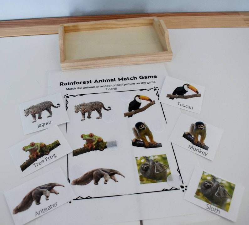 Rainforest Animal Matching Game, Preschool Printable Busy Book Page ...
