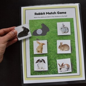 Printable Rabbit Match Game, Montessori Inspired, Nature Study, Toddler ...
