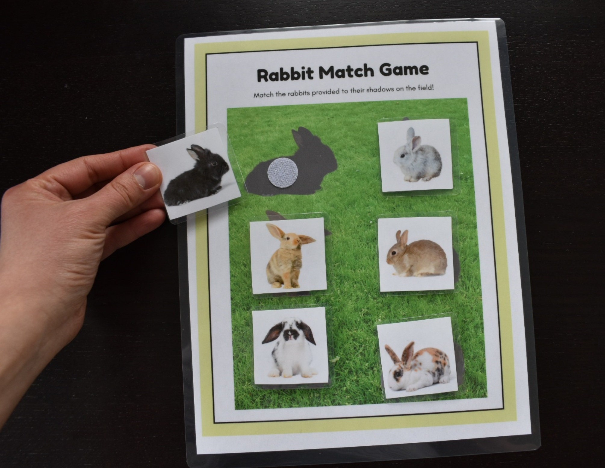 Printable Rabbit Match Game, Montessori Inspired, Nature Study, Toddler ...