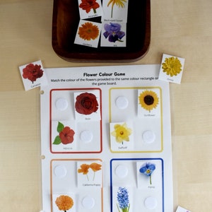 Preschool Printable Flower Colour Matching Game, Montessori Inspired ...