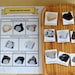 Printable Rock Match Game, Busy Book Page, Activities for Preschoolers ...