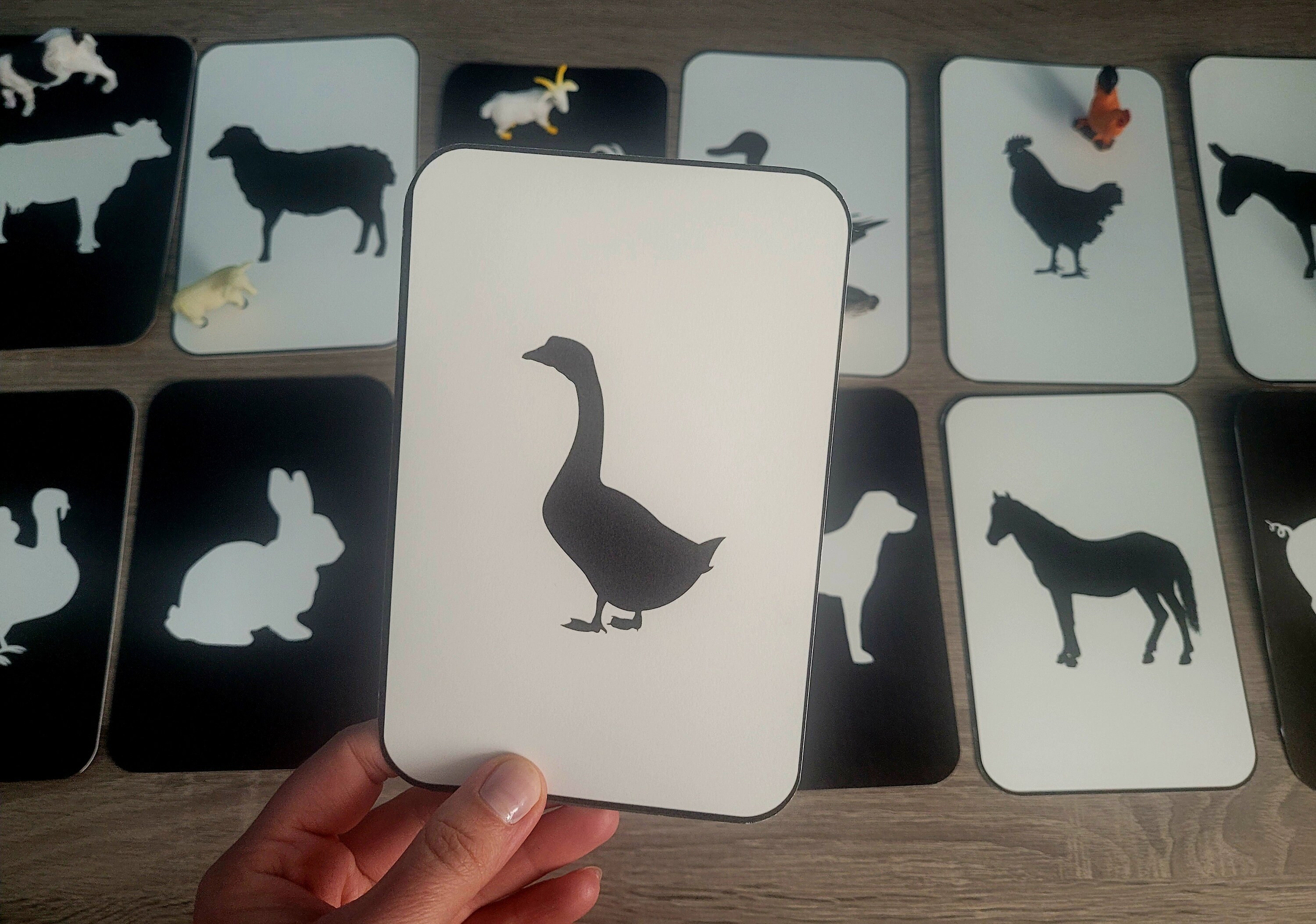 Baby Sensory Cards, High Contrast Cards, Black and White Sensory ...