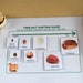 Printable Preschool Worksheet, Tree Nut Size Sorting Game, Homeschool ...