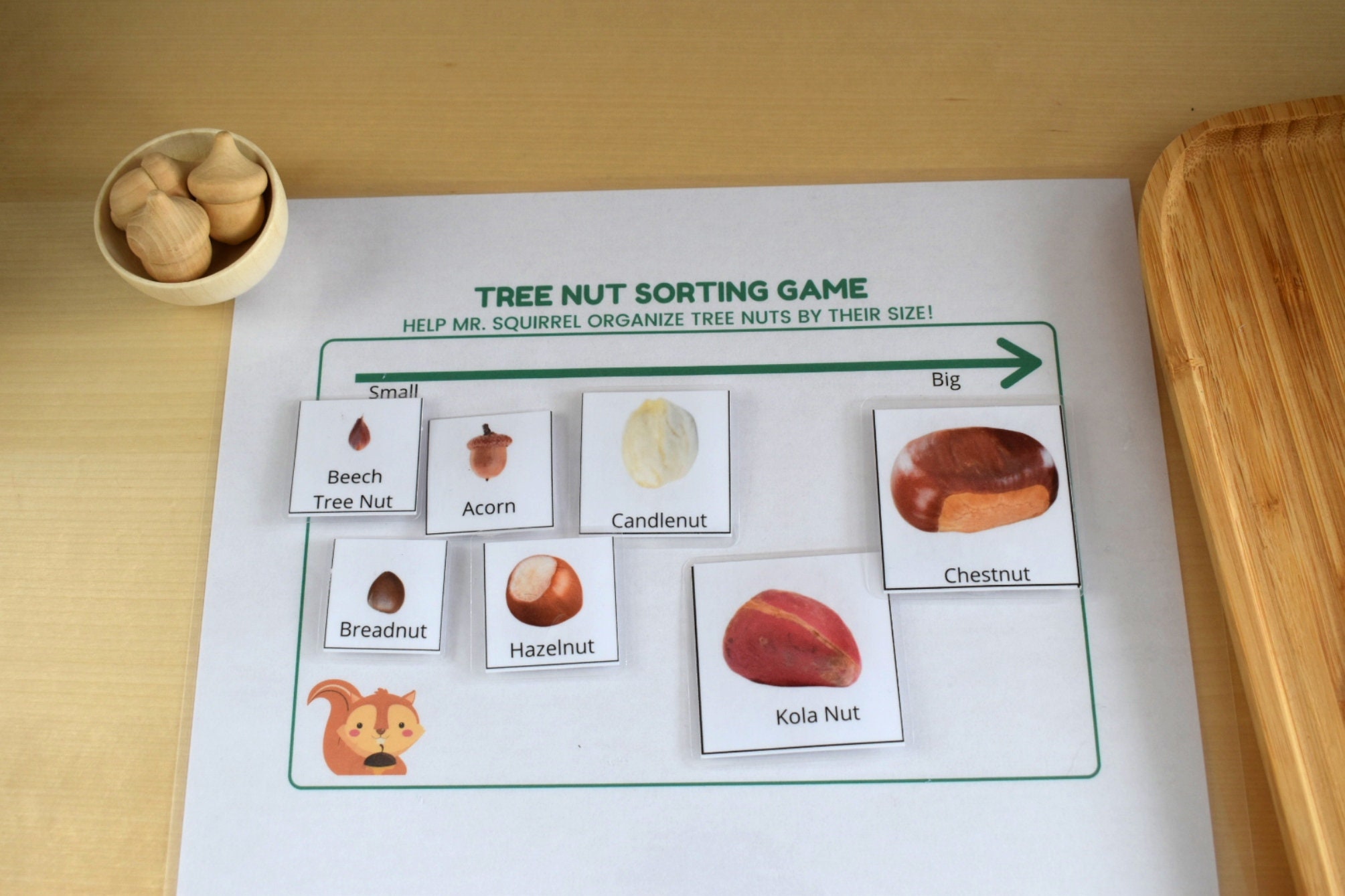 Printable Preschool Worksheet, Tree Nut Size Sorting Game, Homeschool ...