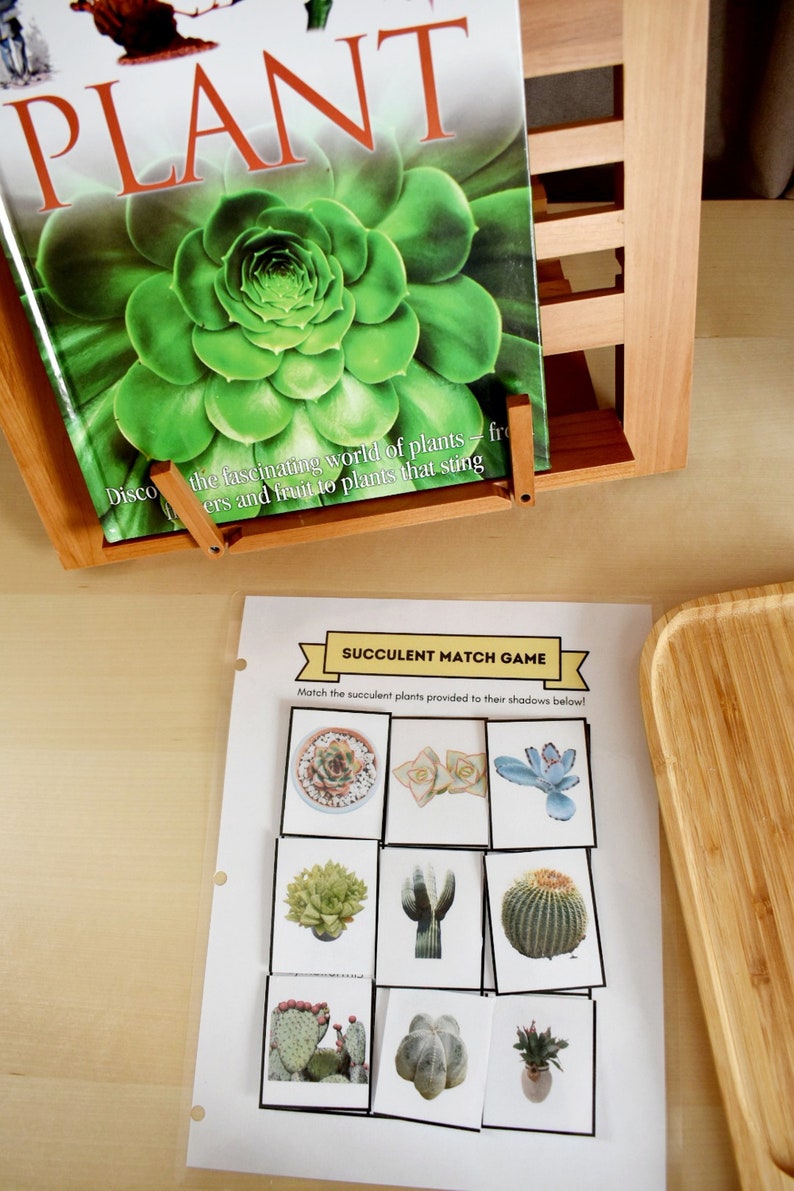 Preschool Printable Succulent Plant Matching Game Busy Book | Etsy