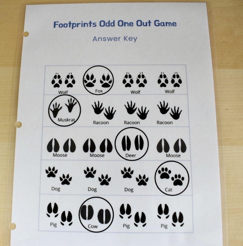 Preschool Printable Animal Footprints Game, Busy Book Page, Montessori ...
