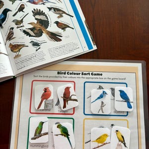 Printable Bird Color Sorting Game: Montessori Homeschool Activity (PDF ...