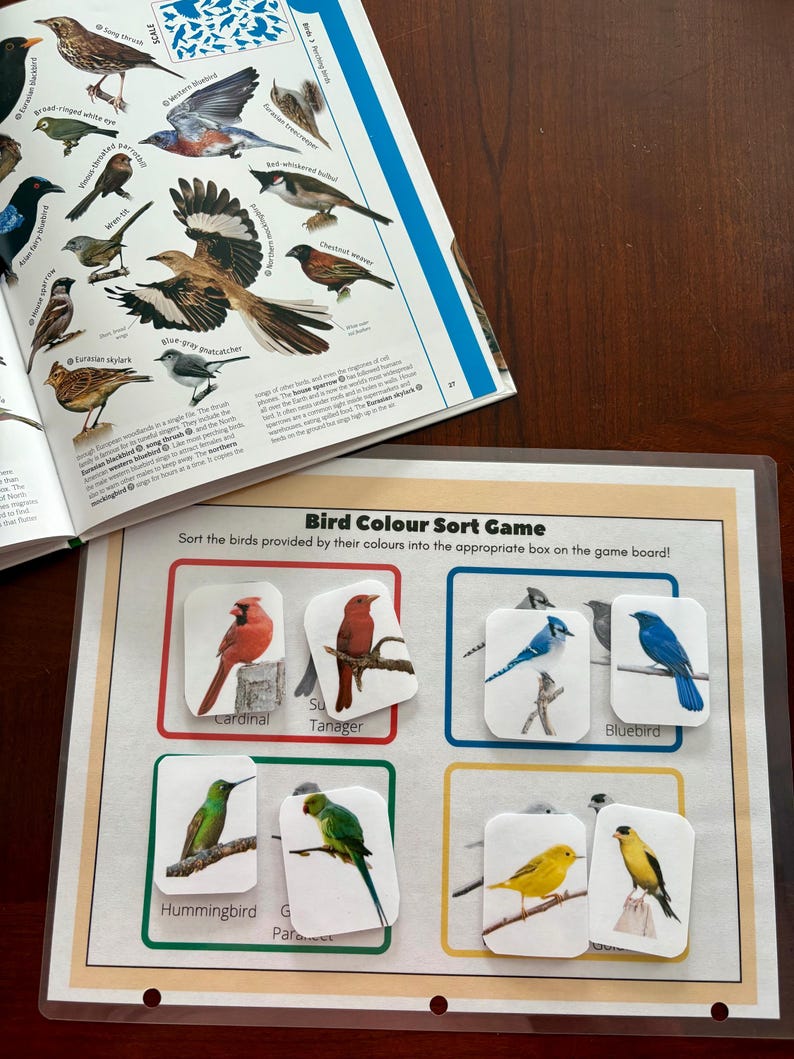 Printable Bird Color Sorting Game: Montessori Homeschool Activity (PDF ...