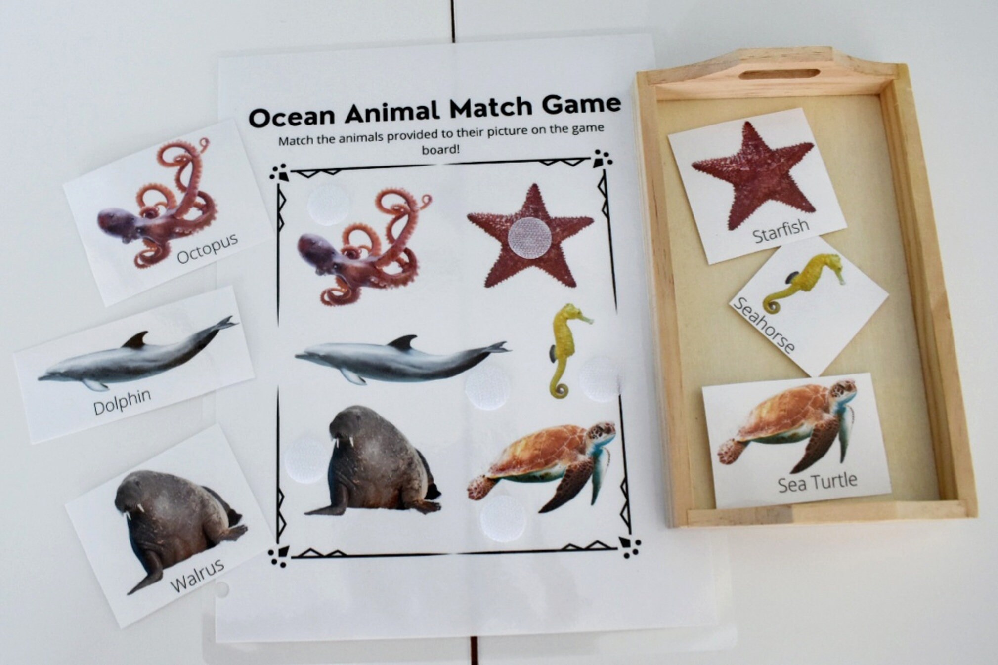 Ocean Animals Matching Game Preschool Printable Busy Book - Etsy