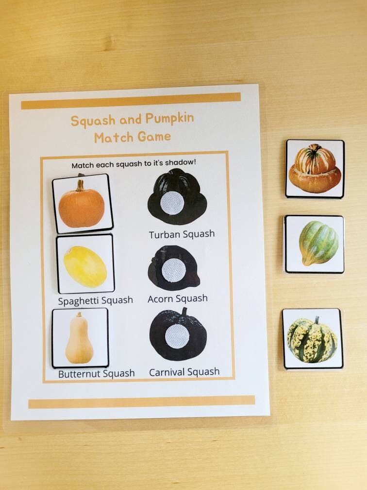 Preschool Printable Busy Book Page Squash and Pumpkin Match - Etsy