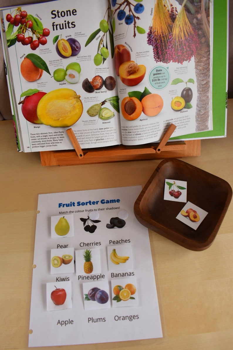 Preschool Printable Fruit Sorter Game, Busy Book Page, Activities for ...