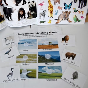 Animal to Environment Matching Game, Preschool Printable Busy Book Page ...
