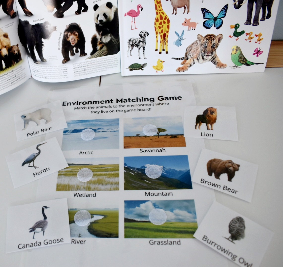 Animal to Environment Matching Game, Preschool Printable Busy Book Page ...