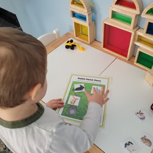 Printable Rabbit Match Game, Montessori Inspired, Nature Study, Toddler ...