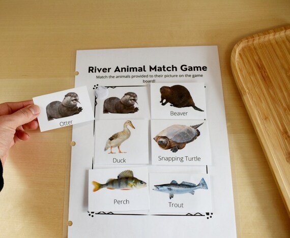 Forest Animal Matching Worksheet Activities for Preschoolers | Etsy