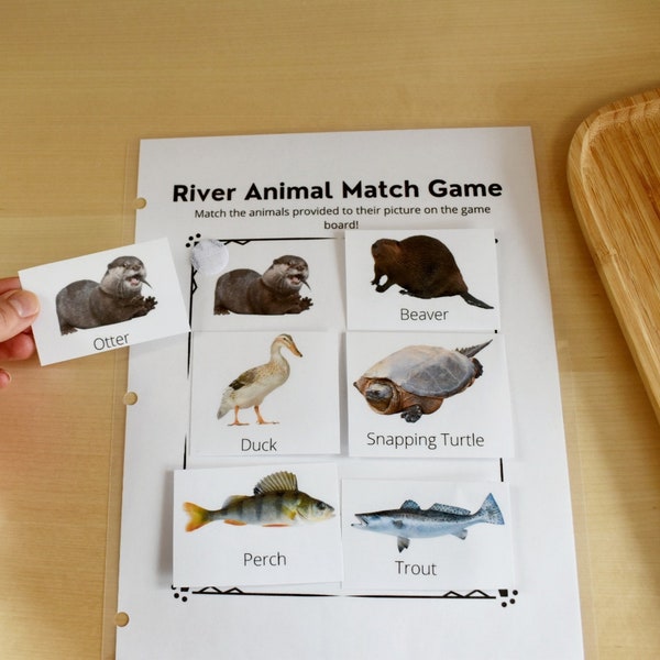 Animal Matching - Etsy