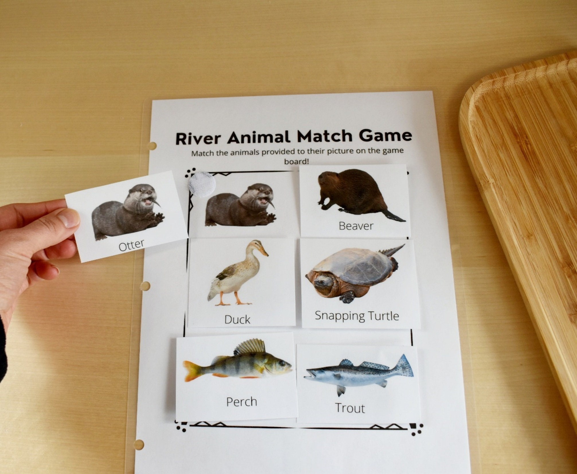 Forest Animal Matching Worksheet, Activities for Preschoolers ...