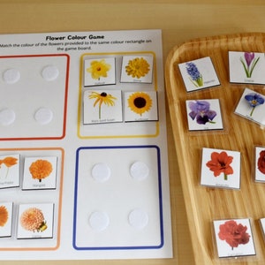 Preschool Printable Flower Colour Matching Game, Montessori Inspired ...