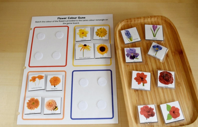 Preschool Printable Flower Colour Matching Game, Montessori Inspired ...