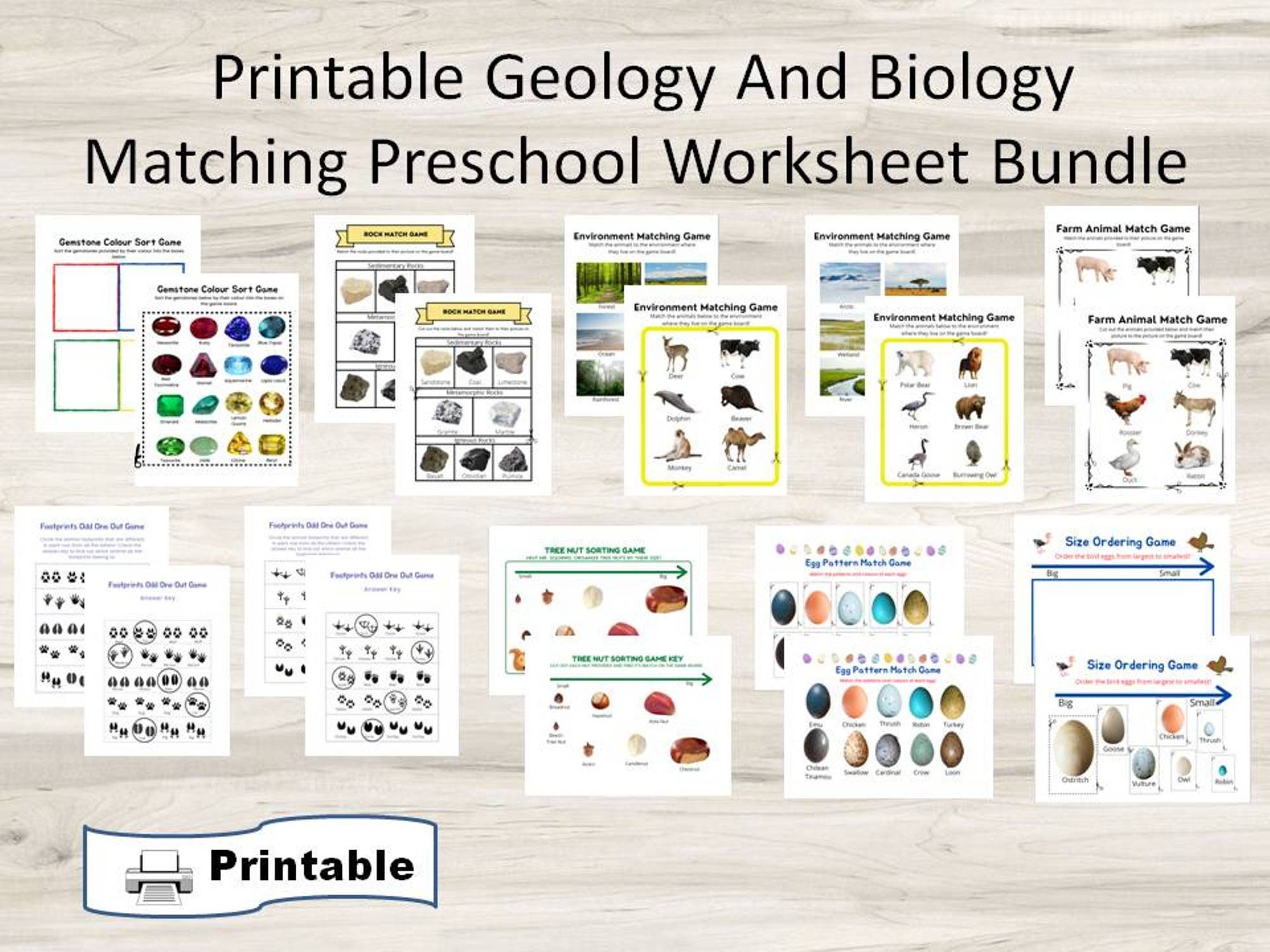 Printable Preschool Educational Worksheet Bundle, Geology and Biology ...