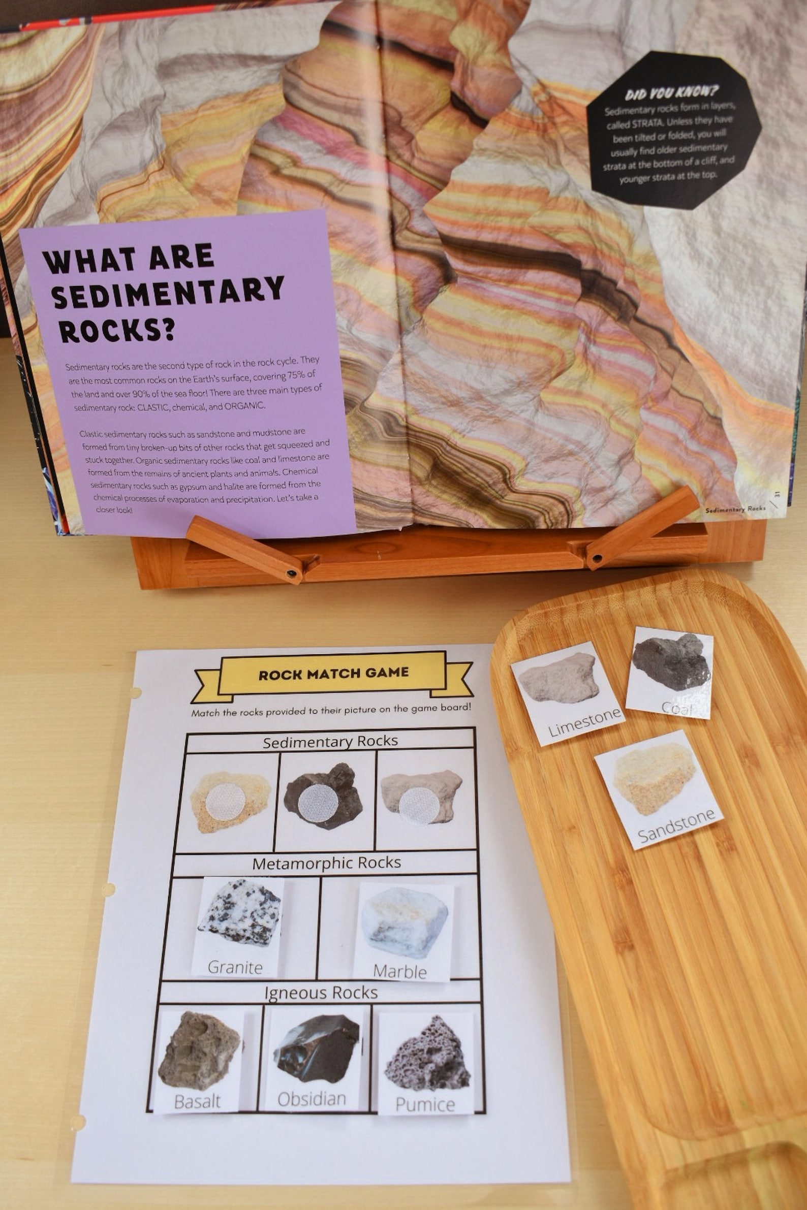 Printable Preschool Educational Worksheet Bundle, Geology and Biology ...