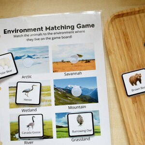 Animal to Environment Matching Game, Preschool Printable Busy Book Page ...