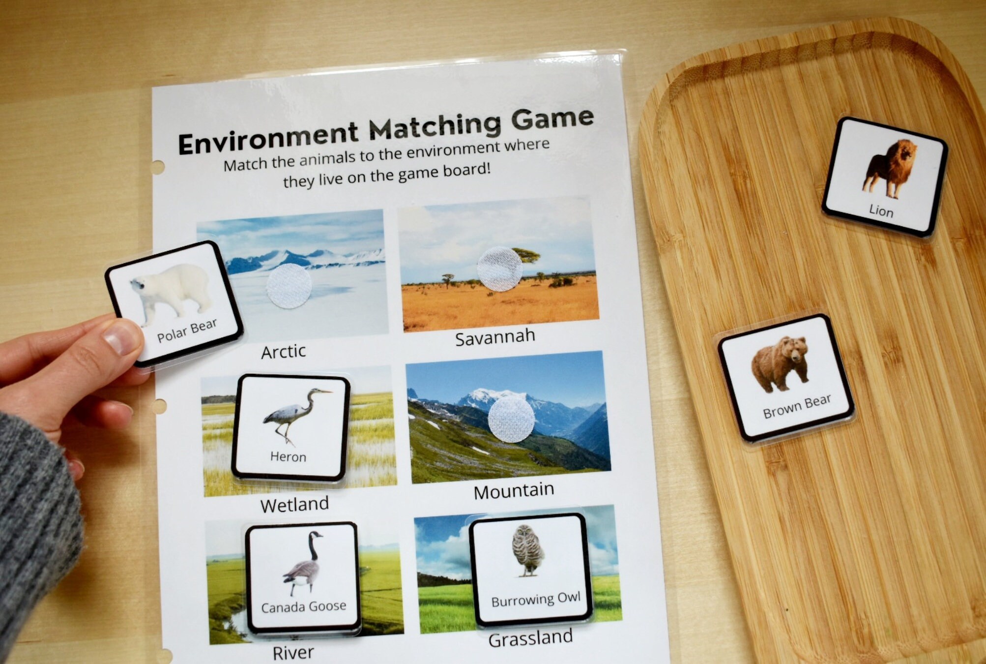 Animal to Environment Matching Game, Preschool Printable Busy Book Page ...
