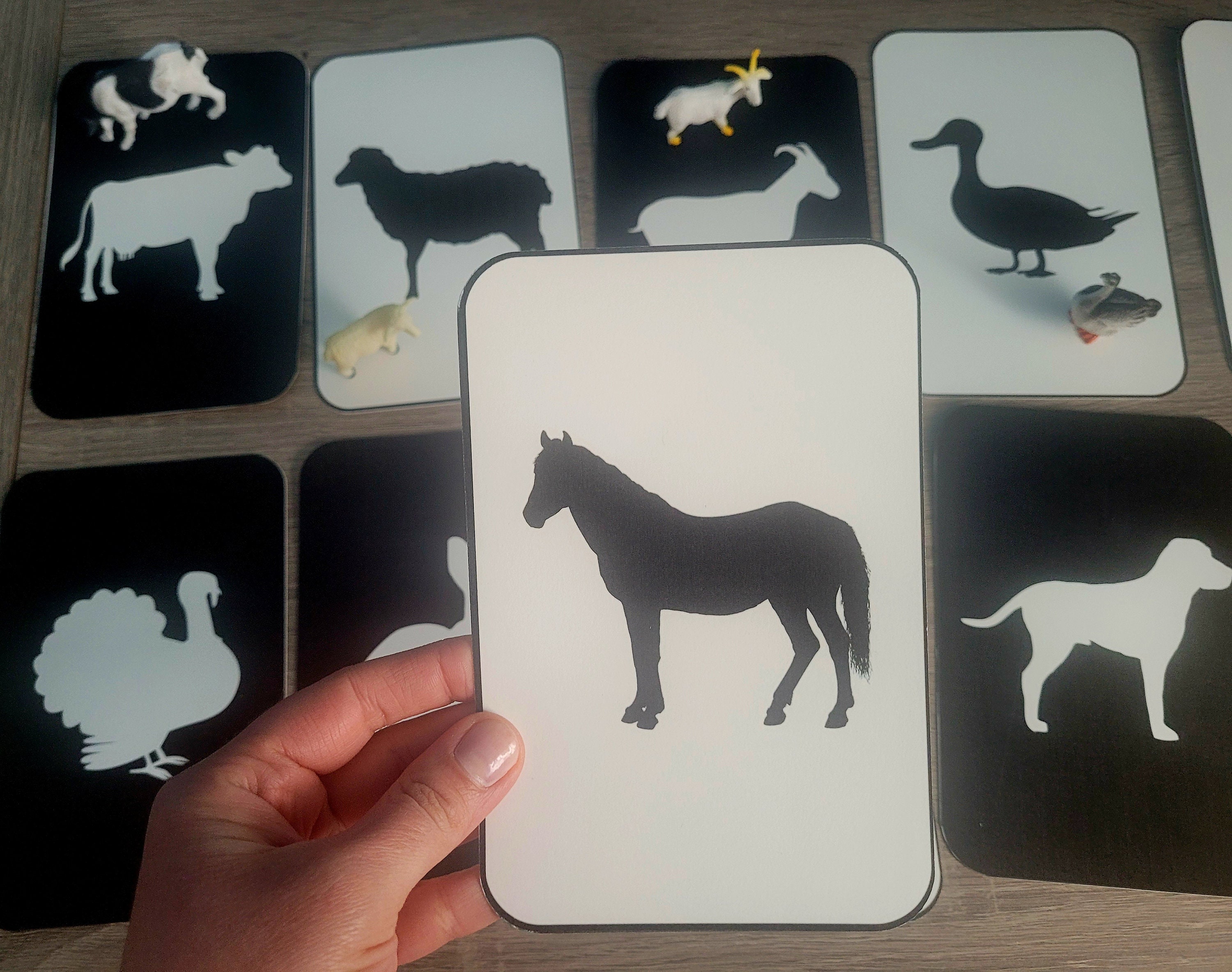 Baby Sensory Cards, High Contrast Cards, Black and White Sensory ...