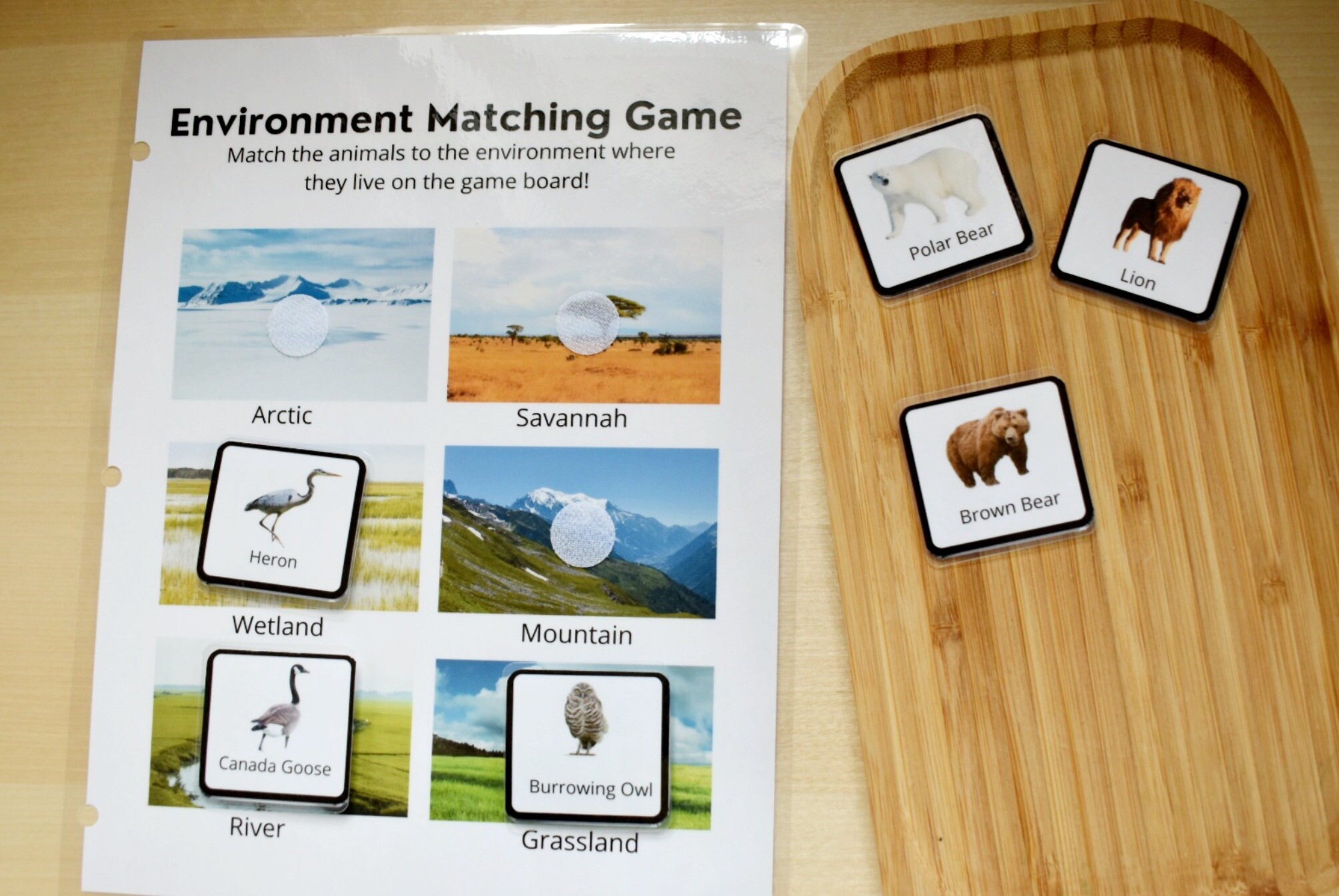 Animal to Environment Matching Game, Preschool Printable Busy Book Page ...