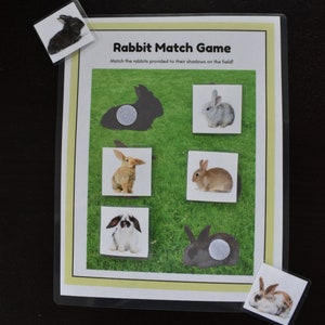 Printable Rabbit Match Game, Montessori Inspired, Nature Study, Toddler ...