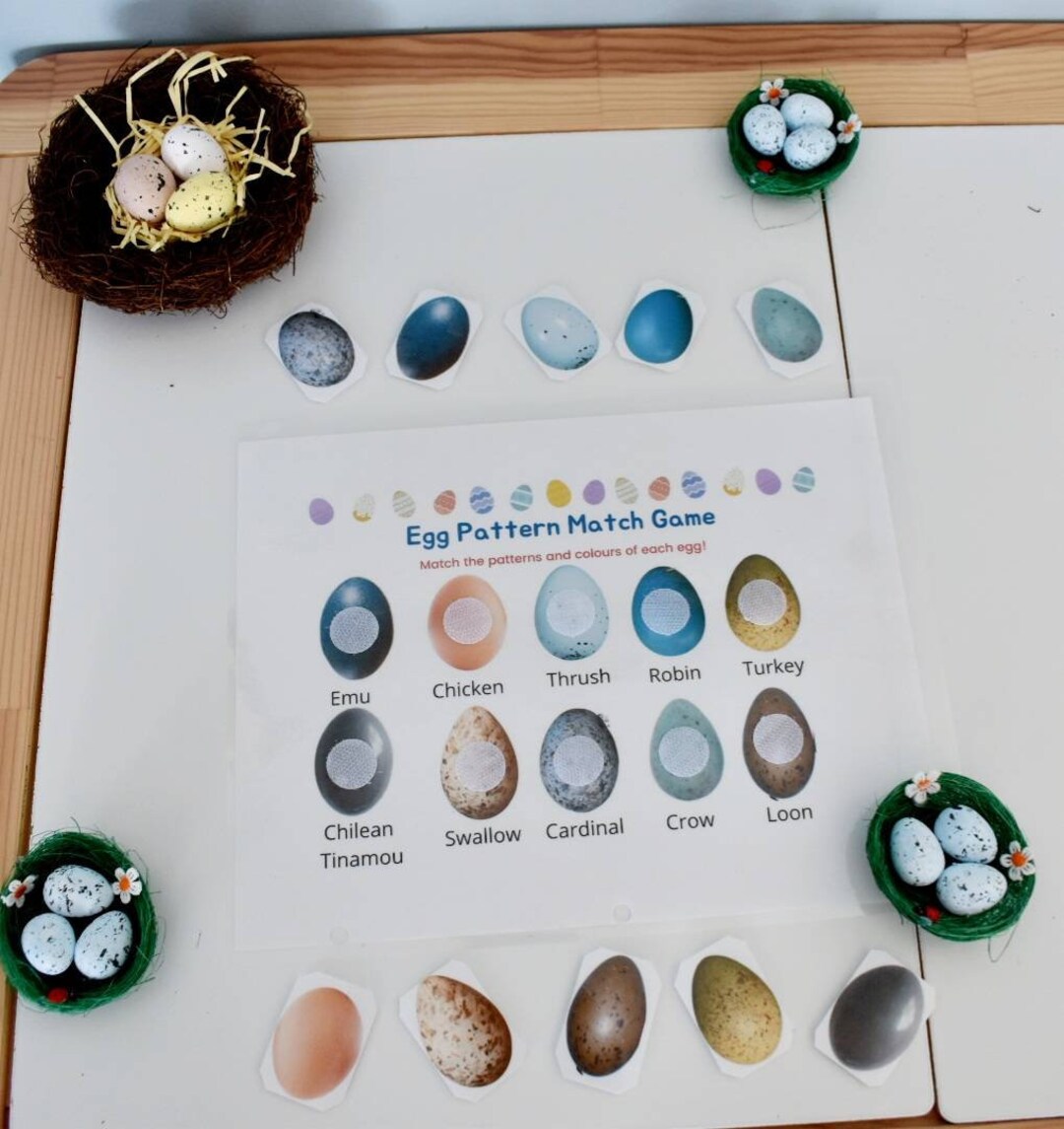 Egg Pattern Match Worksheet: Montessori Homeschool Printable (PDF) - Etsy