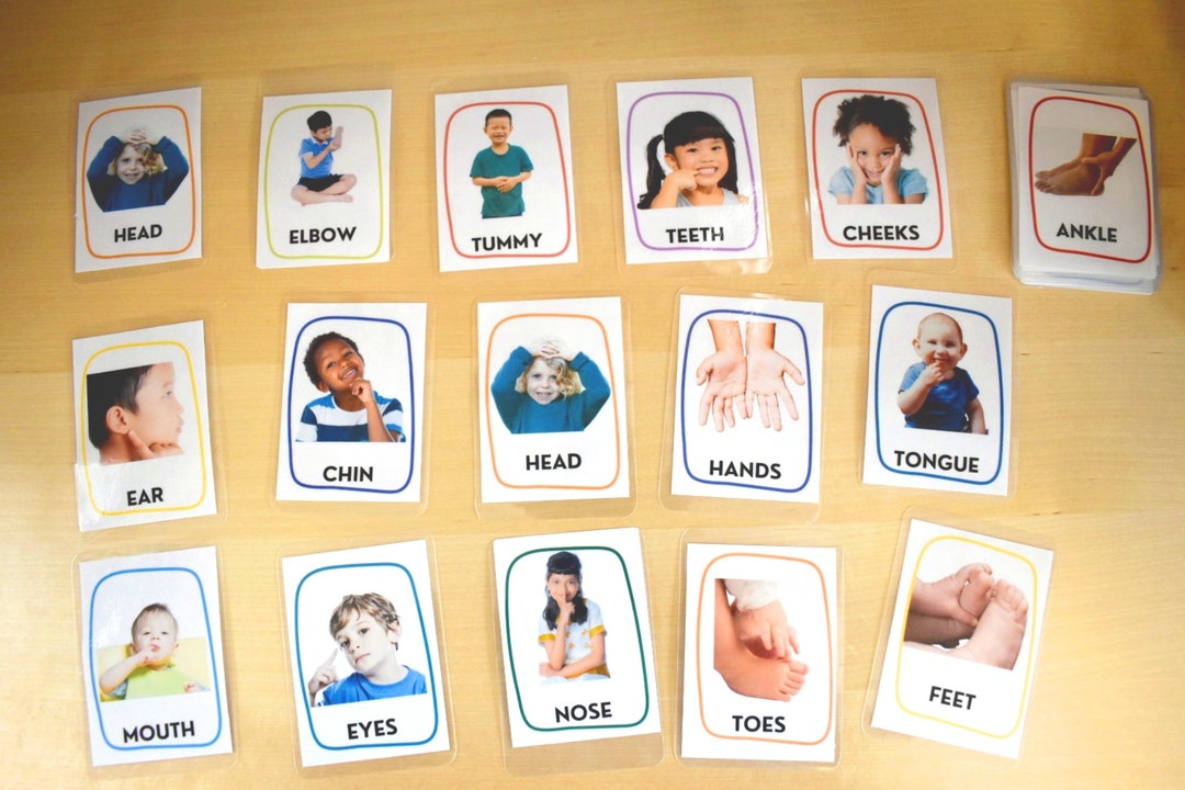 Preschool Flashcards, Parts of Body Flashcards, Montessori Flashcards ...