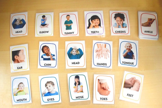 Preschool Flashcards Parts of Body Flashcards Montessori - Etsy