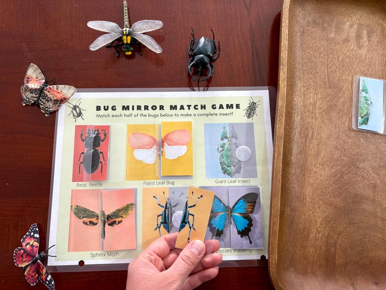 Printable Bug Mirror Match Game: Nature Study Worksheet (PDF) - Etsy